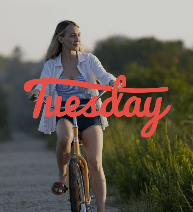 The Bike Company | The Bike Company